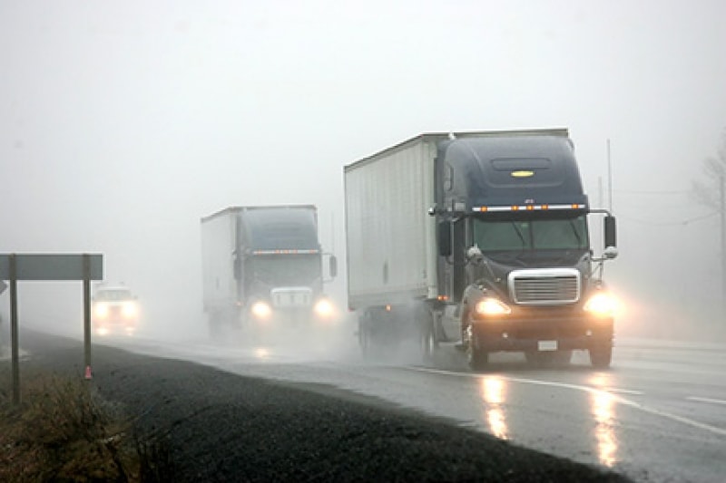 Resilience and Adaptation: Brands Excelling in Monsoon Logistics in ...