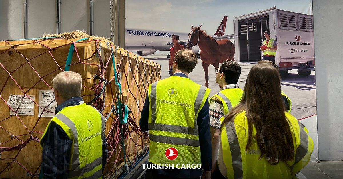 How Turkish Airlines Transports Live Animals Around The World - Infralog