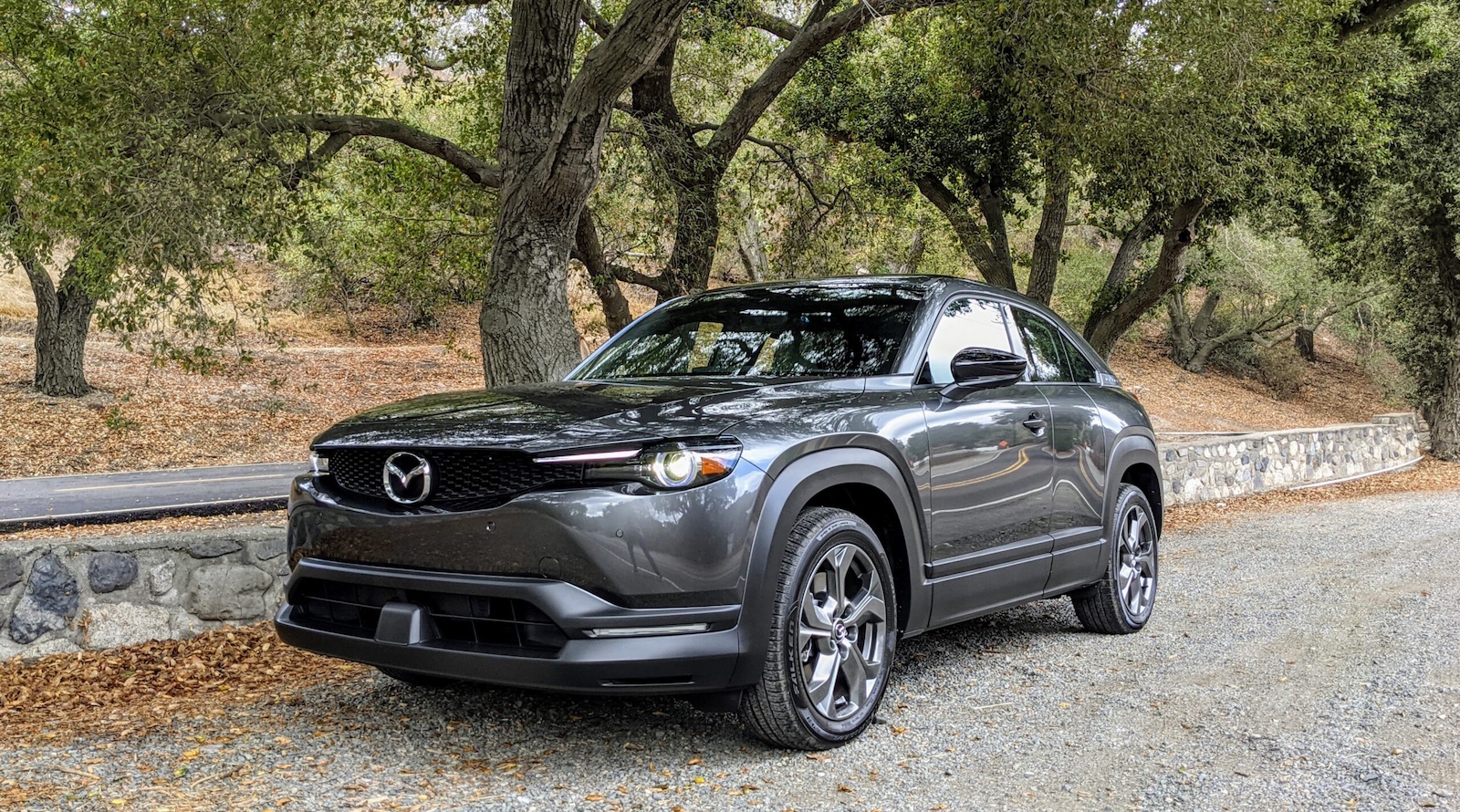 2035 Cars Law At EU Summit: Merz To Push For Hybrids Which Can Emit As ...